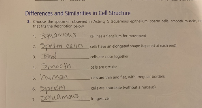 Solved Differences and Similarities in Cell Structure 3. | Chegg.com