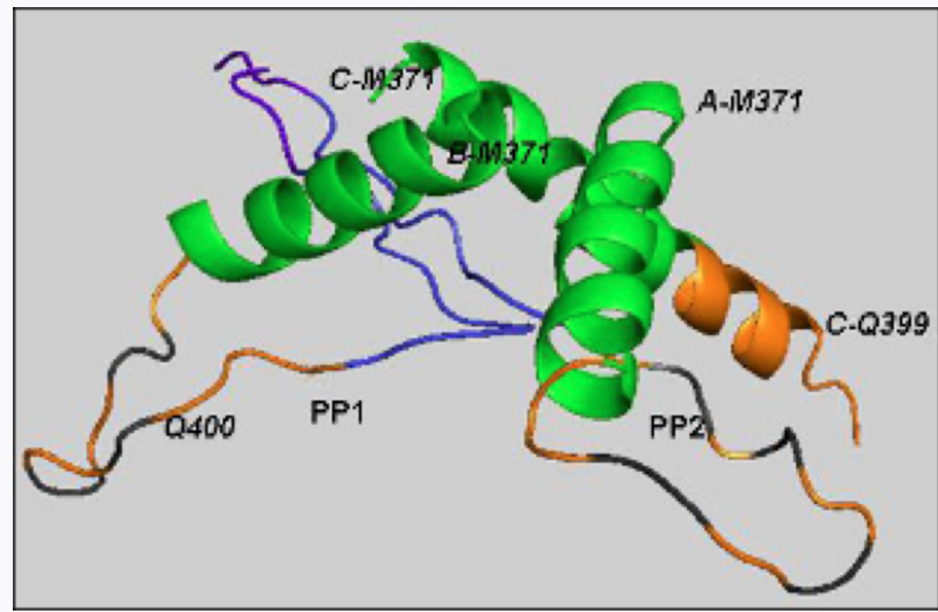 Solved In the accompanying image, you can see a model of | Chegg.com