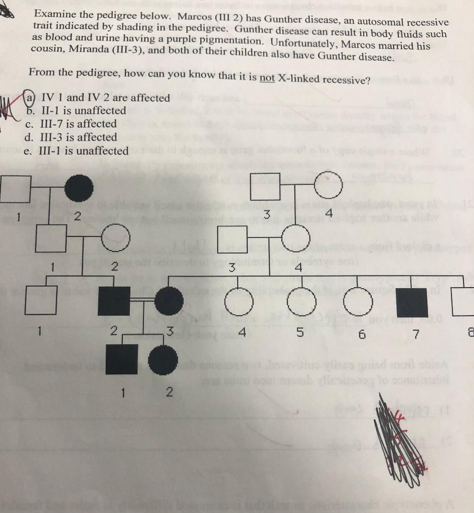 Solved Examine the pedigree below. Marcos (III 2) has | Chegg.com