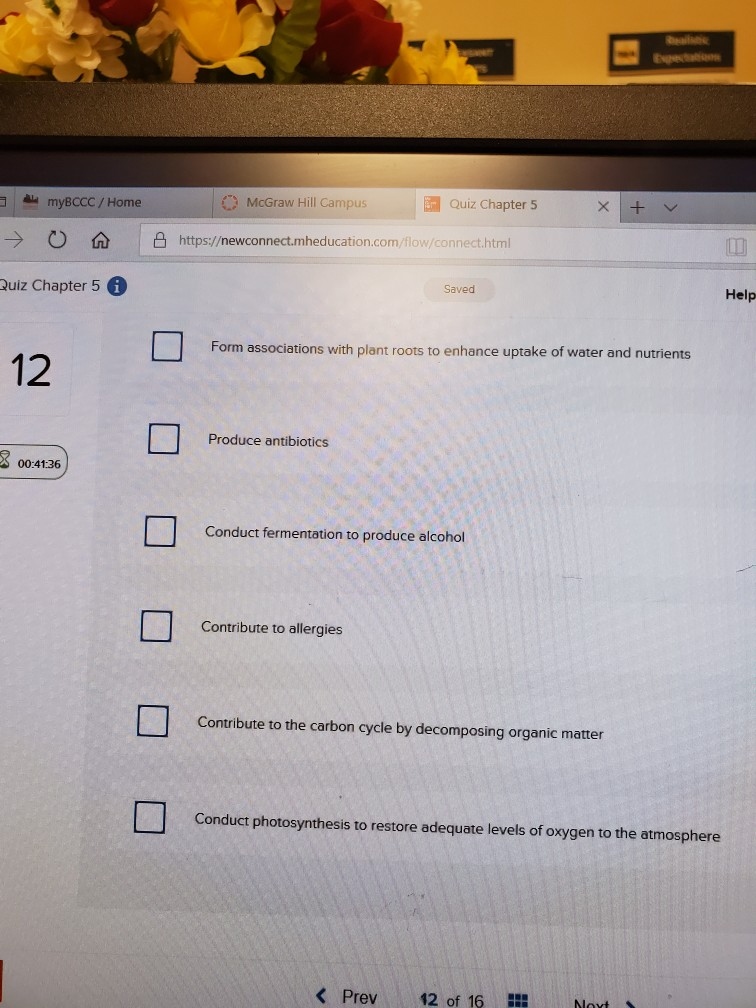 myBCCC / Home McGraw Hill Campus an Quiz Chapter 5 X | Chegg.com