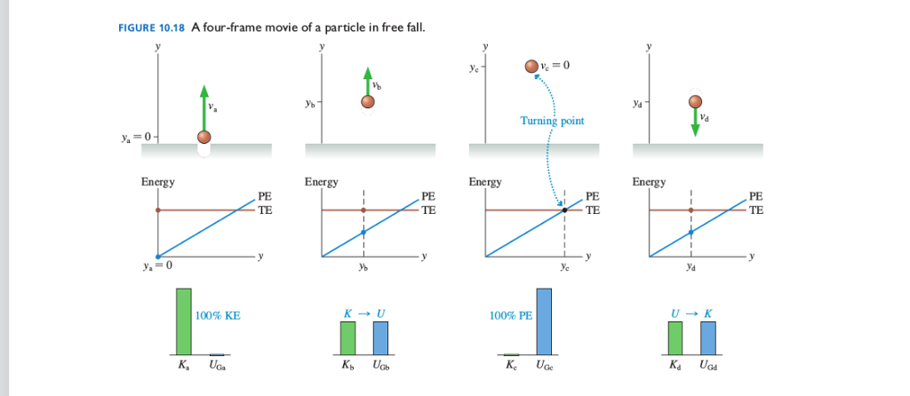 Solved Take a look at the ball in free fall in the third | Chegg.com