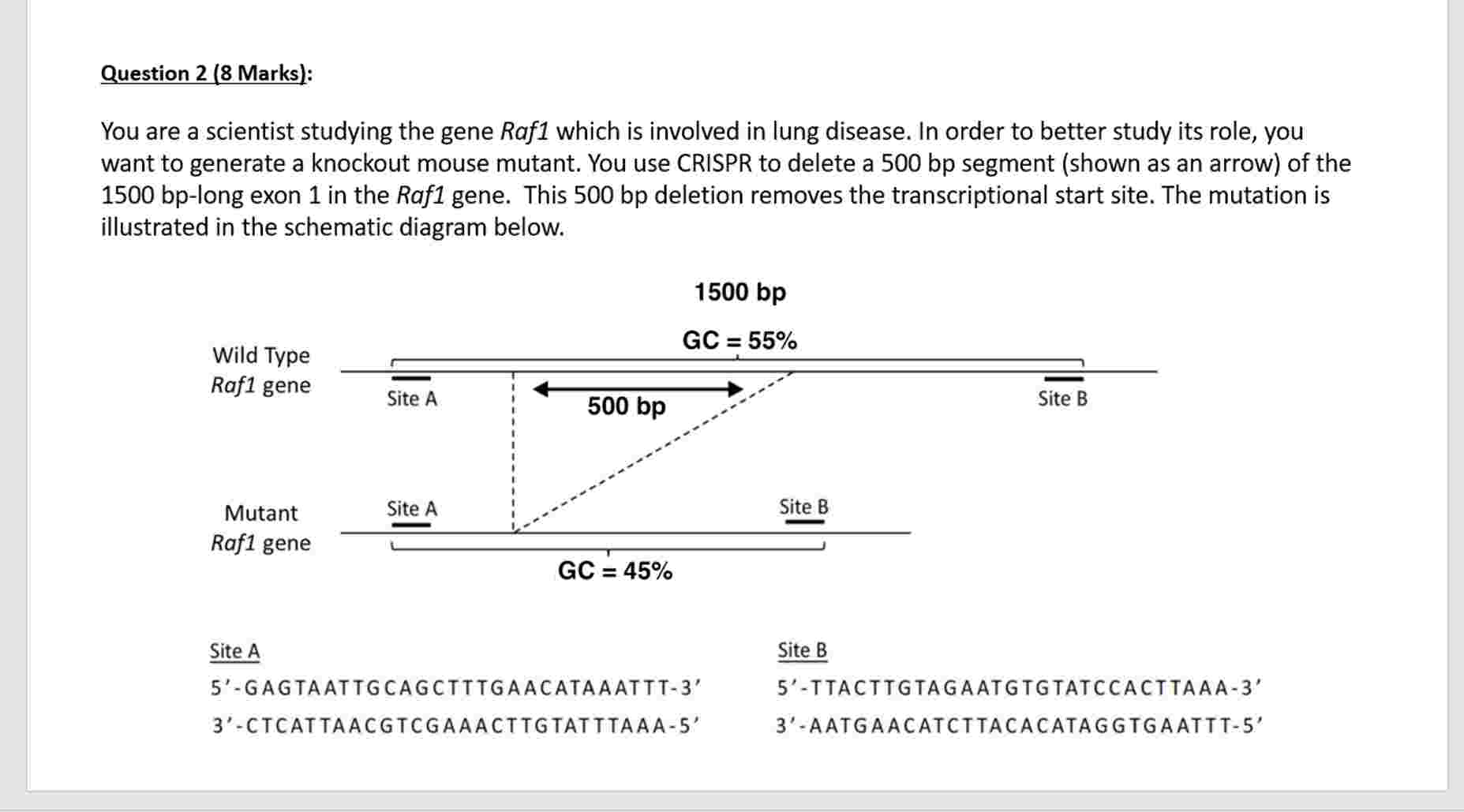 Solved Question 2 (8 ﻿Marks):You are a scientist studying | Chegg.com