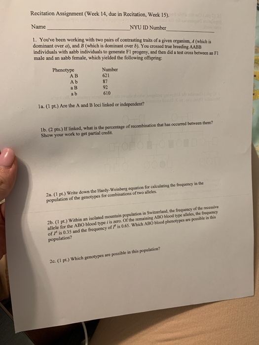Solved Recitation Assignment Week 14 Due In Recitation 0625