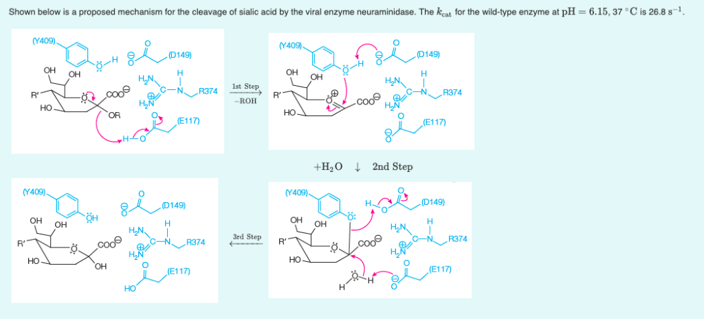 Solved Shown below is a proposed mechanism for the cleavage | Chegg.com