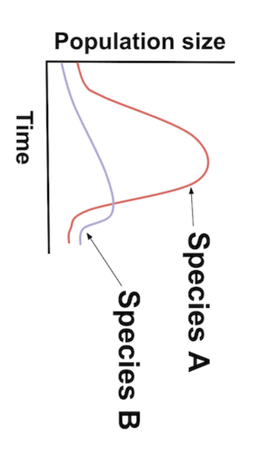 Solved Based on your understanding of species interactions, | Chegg.com