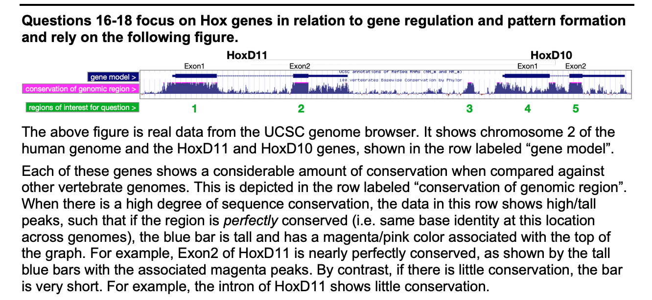 Solved We learned about Hox gene function and regulation in | Chegg.com