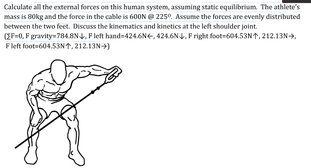 Calculate all the external forces on this human | Chegg.com