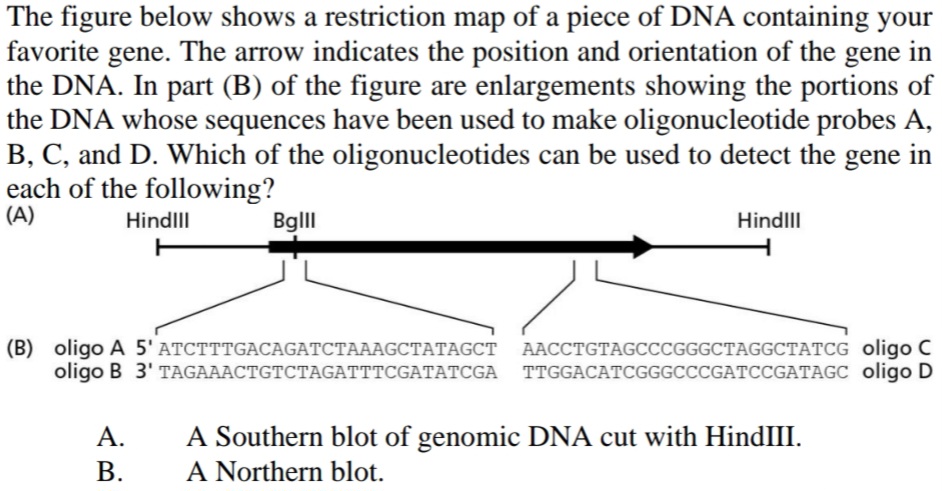 Solved The figure below shows a restriction map of a piece | Chegg.com