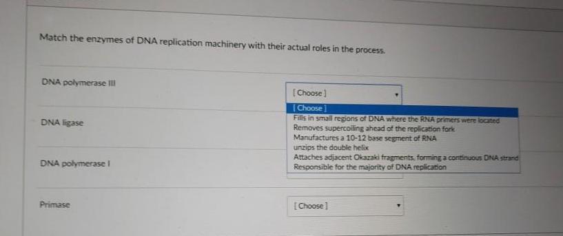 Solved Match the enzymes of DNA replication machinery with | Chegg.com