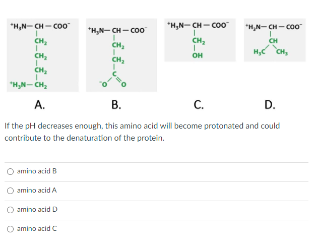 Solved *H2N-CH-C00 1 *H3N-CH-COO CH2 1 CH2 1 CH2 +H2N-CH-COO | Chegg.com