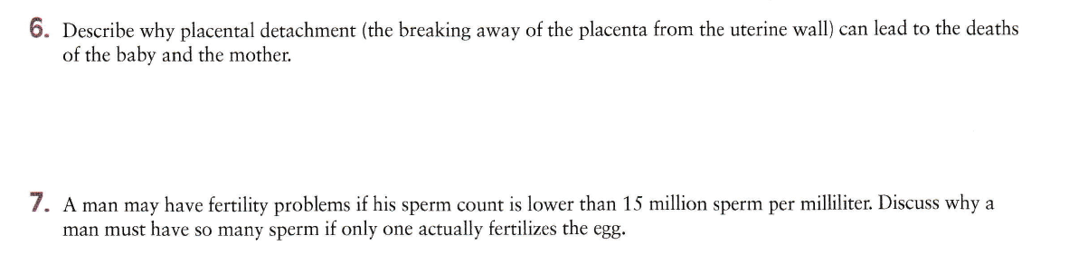 Solved 6. Describe why placental detachment (the breaking | Chegg.com
