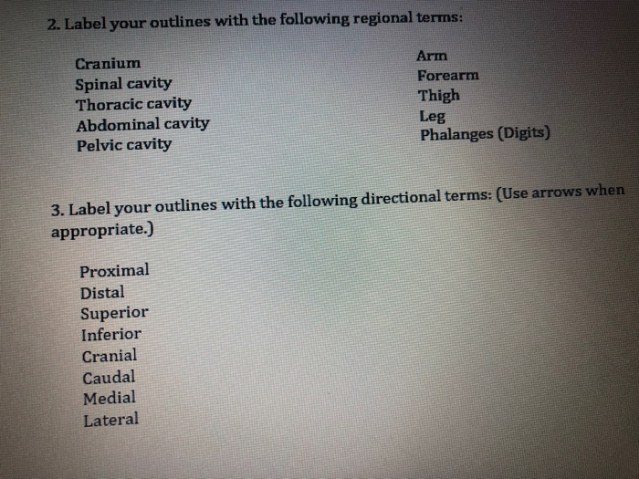 Solved 2. Label your outlines with the following regional | Chegg.com