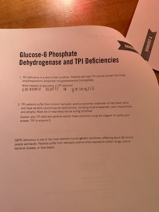 Solved Glucose-6 Phosphate Dehydrogenase and TPI | Chegg.com