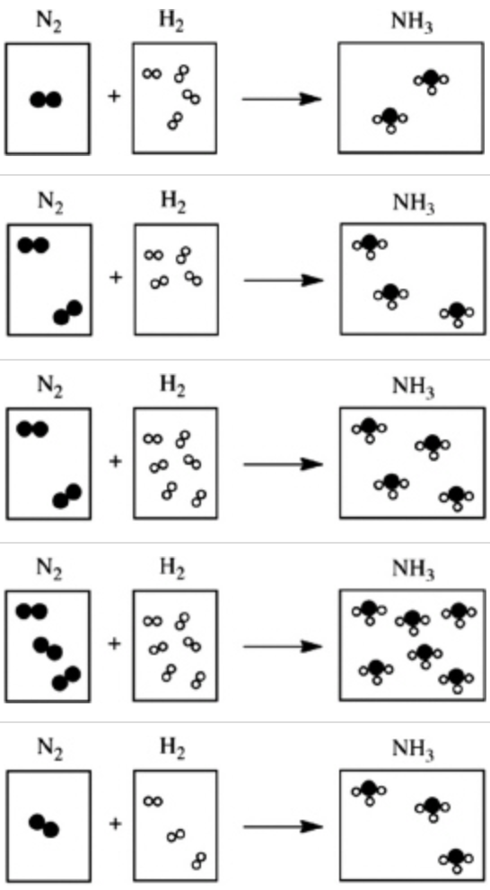 Solved N2 H2 NH3 N2 H2 NH N2 H2 NH3 N2 H2 NH3 N2 H2 NH3 00 | Chegg.com