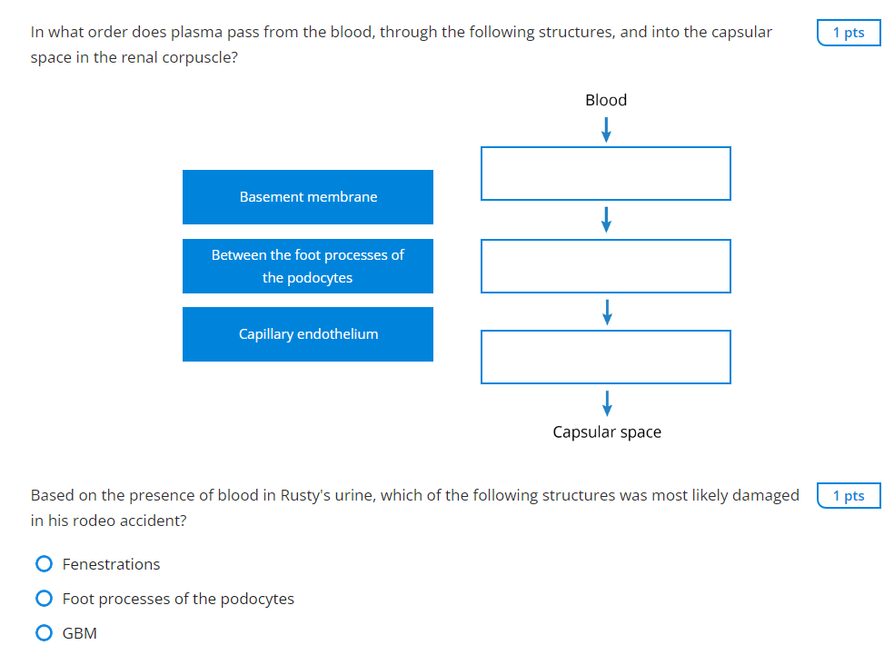 Solved Label this diagram that illustrates the processes | Chegg.com