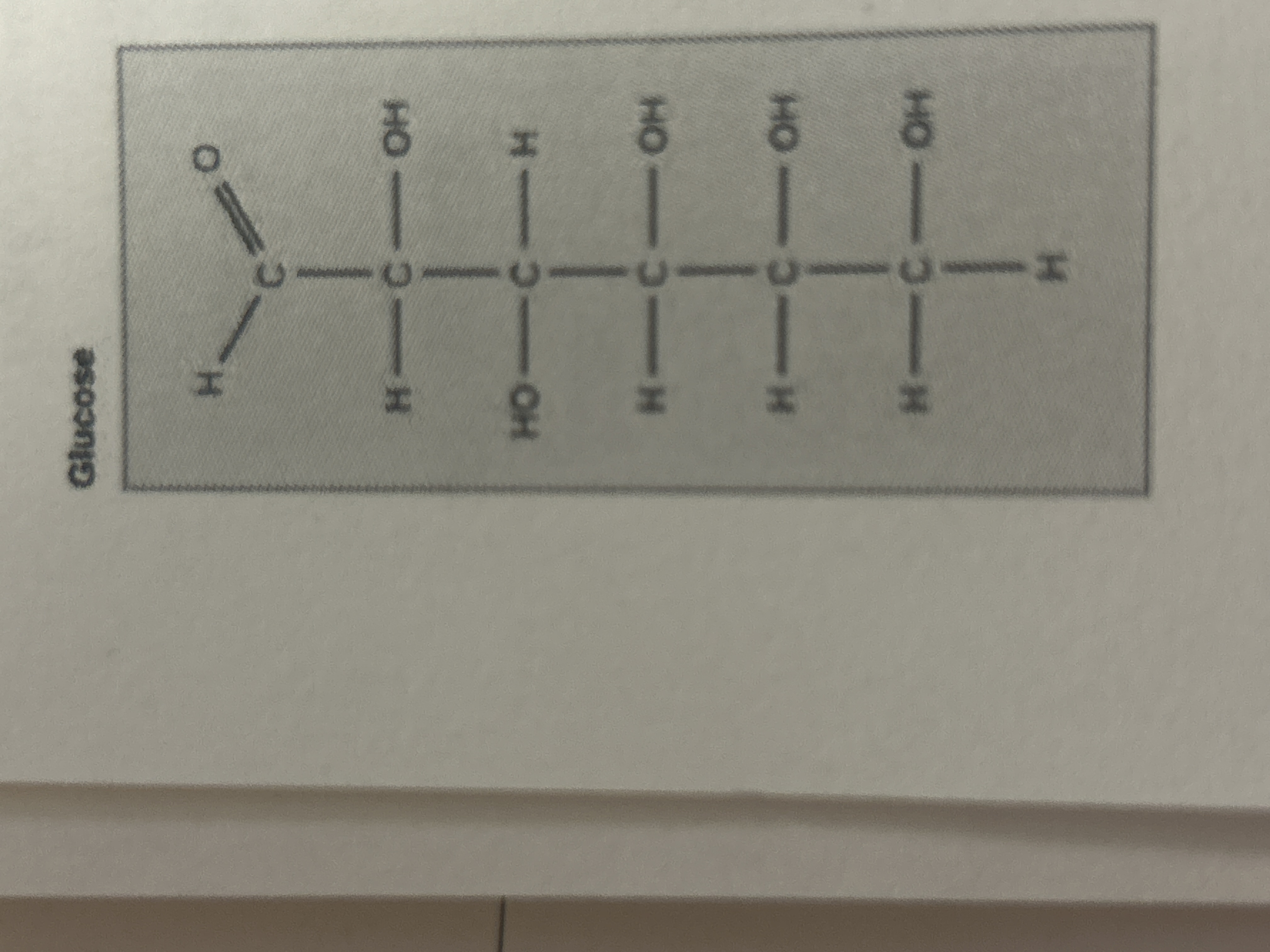 Solved This is the linear form of glucose. Based on its | Chegg.com