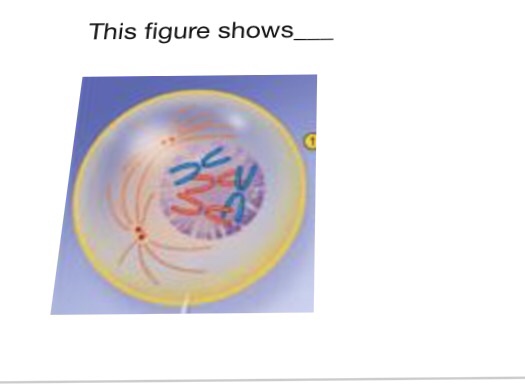 Solved I’m getting confused between this cell and a | Chegg.com