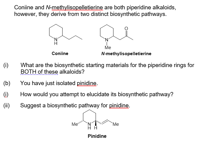 Solved Coniine and N-methylisopelletierine are both | Chegg.com