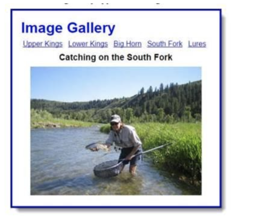 Solved Image Gallery application that displays different | Chegg.com
