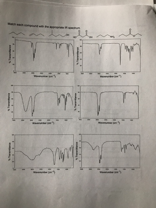 Solved Match each compound with the appropriate IR spectrum | Chegg.com