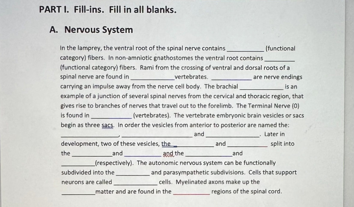 Solved PART I. Fill-ins. Fill in all blanks.A. ﻿Nervous | Chegg.com