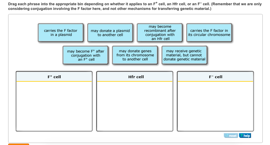 Solved Because bacteria reproduce asexually, each organism | Chegg.com