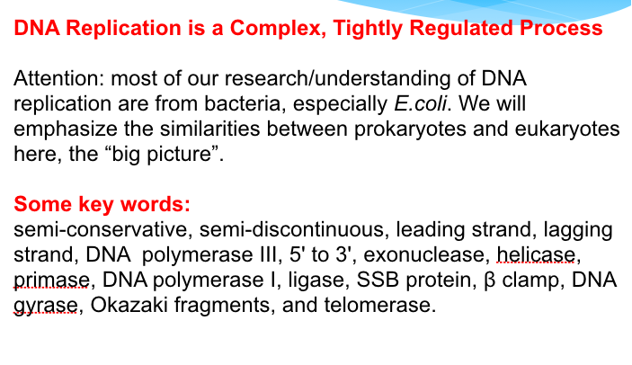 Hand-draw and label a DNA replication model with | Chegg.com