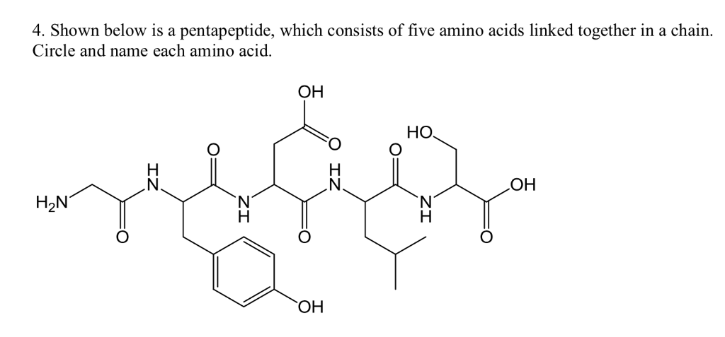 Solved Shown below is a pentapeptide, which consists of five | Chegg.com
