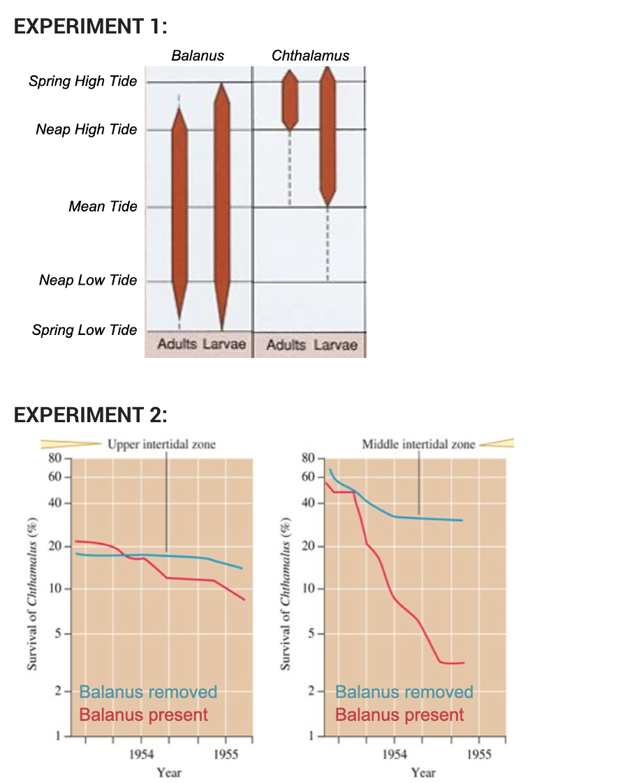 Solved Balanus and Cthalamus barnacles vary in their | Chegg.com