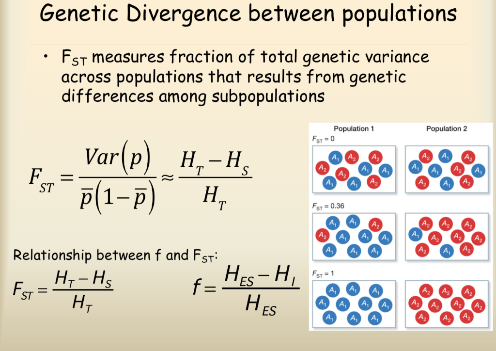 Solved Can anyone do a full explanation how the Fst is 0.36? | Chegg.com