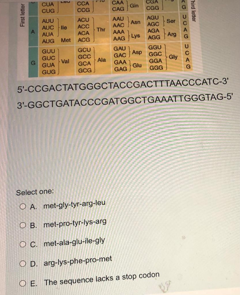 Solved Cys UUC The following double stranded DNA sequence | Chegg.com