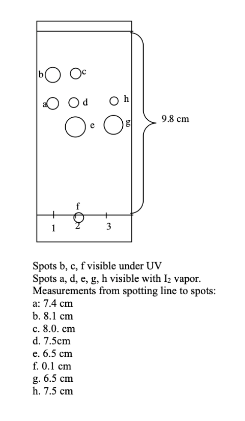 Solved Spots b, c, f visible under UV Spots a, d, e, g,h | Chegg.com