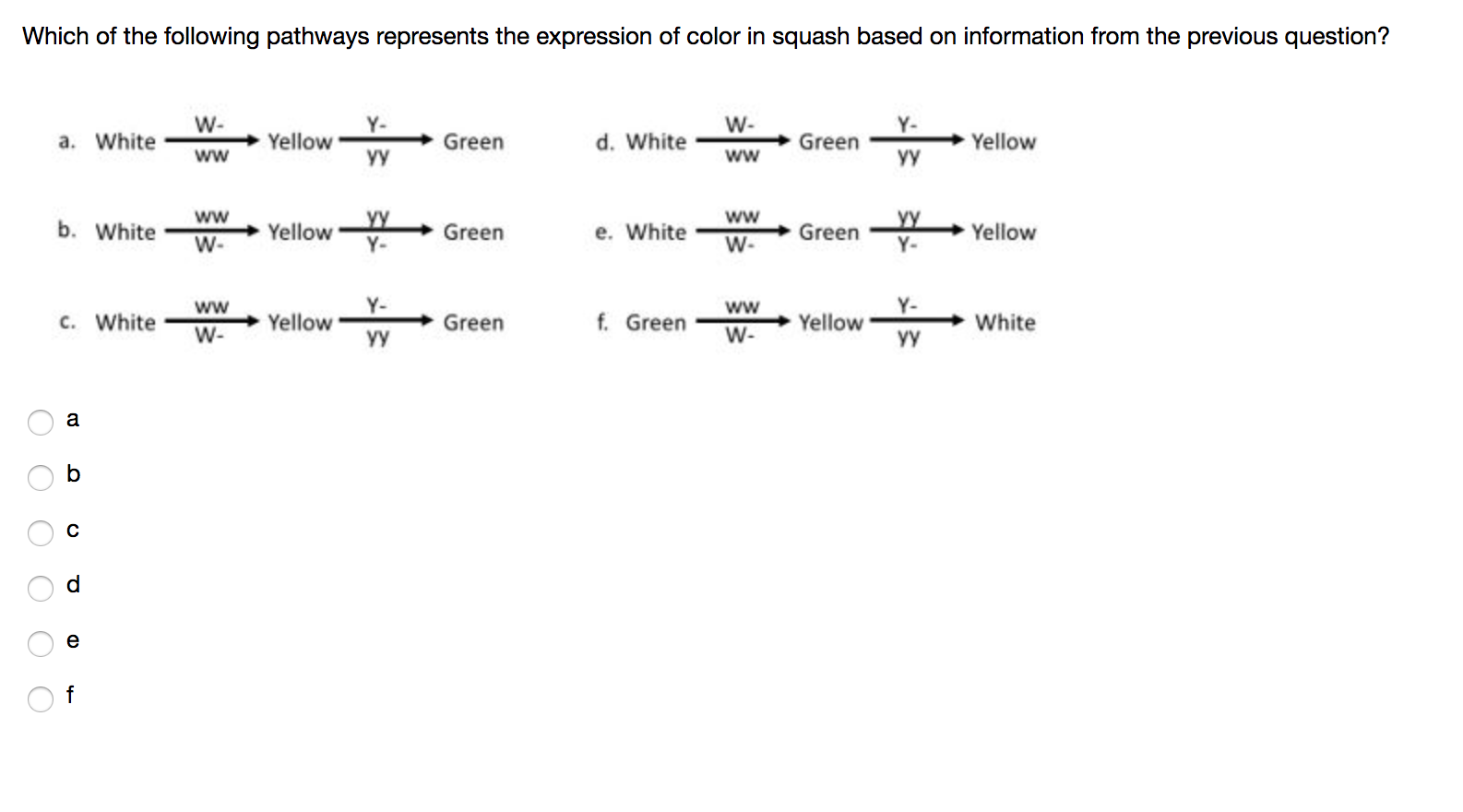 Solved Which of the following pathways represents the | Chegg.com