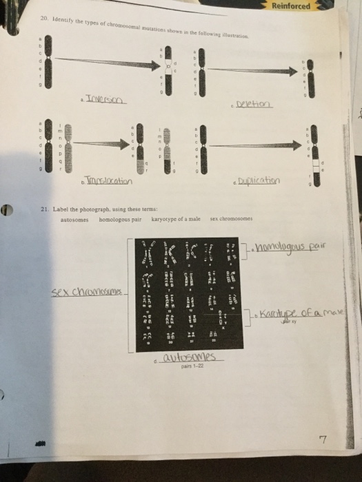te uplicative law and additive law, calculate the | Chegg.com