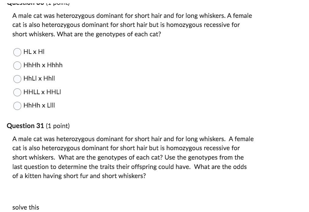 Solved A male cat was heterozygous dominant for short hair | Chegg.com