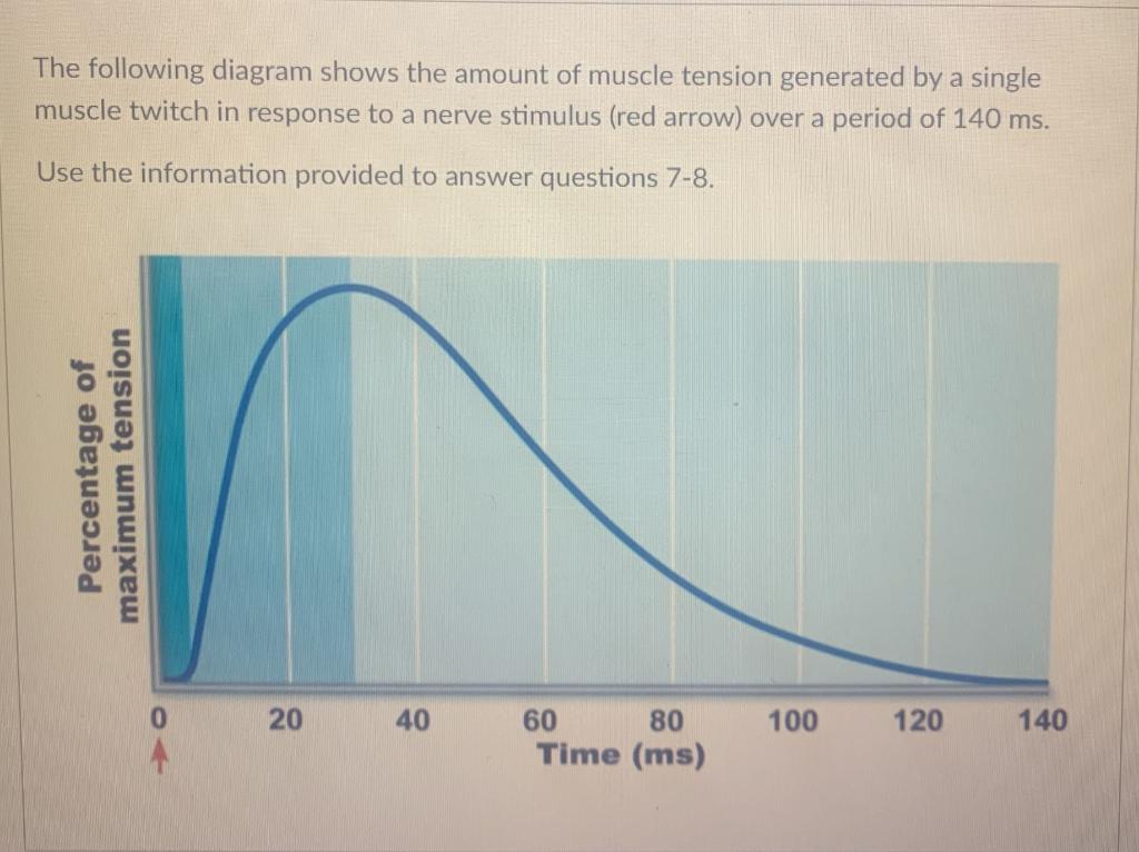Solved The following diagram shows the amount of muscle | Chegg.com