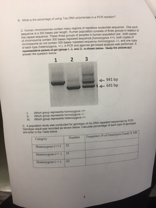Solved B. What is the advantage of using Tag DNA polymerase | Chegg.com