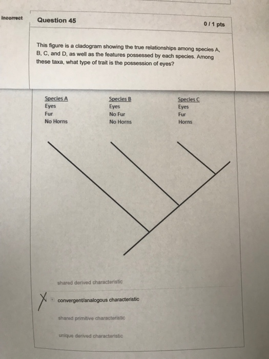 This figure is a cladogram showing the true | Chegg.com