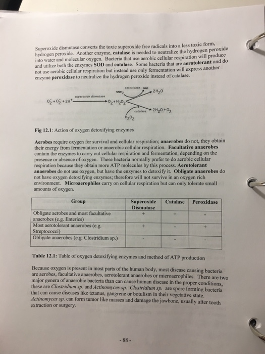 Solved MODULE 11 OXYGEN REQUIREMENTS OBJECTIVES Be familiar | Chegg.com