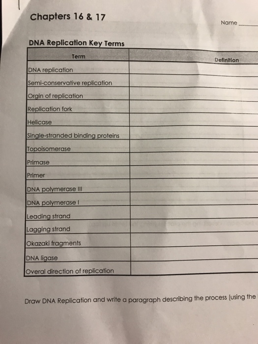 Solved Chapters 16 & 17 Name DNA Replication Key Terms Term | Chegg.com