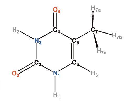 Solved The structure of a nucleobase is shown below. Atomic | Chegg.com