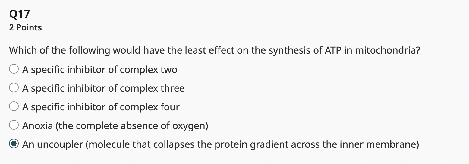 Solved Q17 2 Points Which of the following would have the | Chegg.com