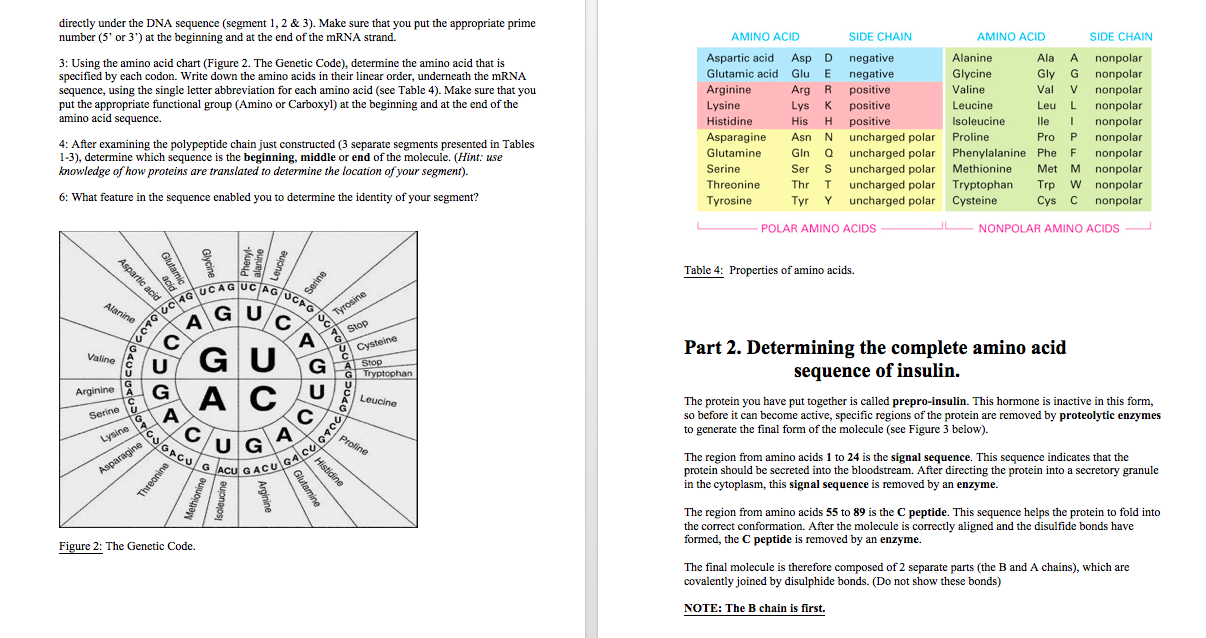 In this practical session you will (on your own) | Chegg.com