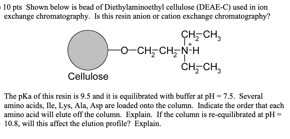 Solved 10 pts Shown below is bead of Diethylaminoethyl | Chegg.com