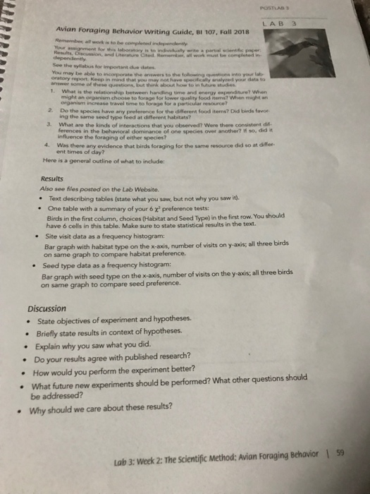 LAB 3 Avian Foraging Behavior writing Guide, B1 107, | Chegg.com