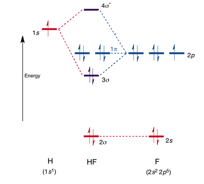 Fluorine Orbital Diagram