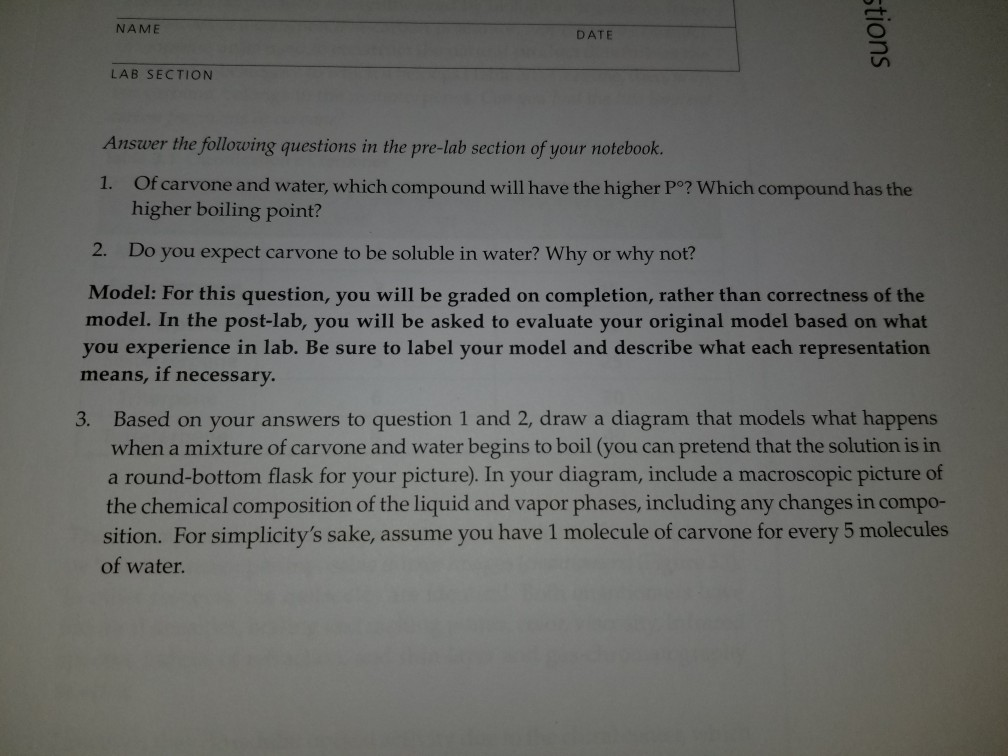 NAME DATE LAB SECTION Answer the following questions | Chegg.com NAME DATE LAB SECTION Answer the following questions | Chegg.com