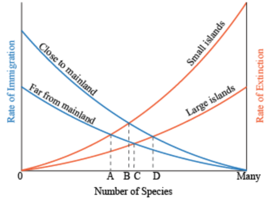 Solved This is a island biogeography graph, where macArthur | Chegg.com