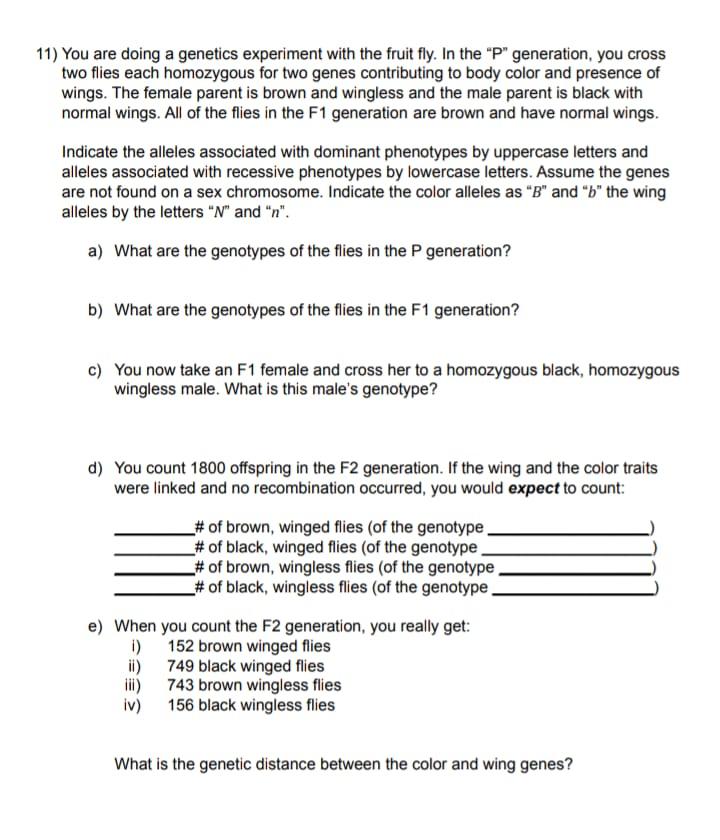 Solved 11) You are doing a genetics experiment with the | Chegg.com