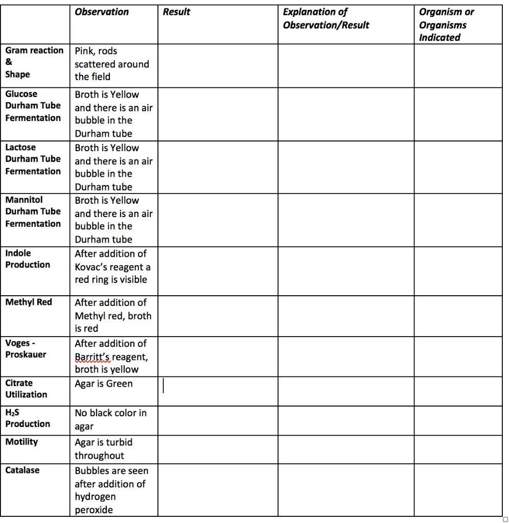 Solved Observation Result Explanation of Observation/Result | Chegg.com